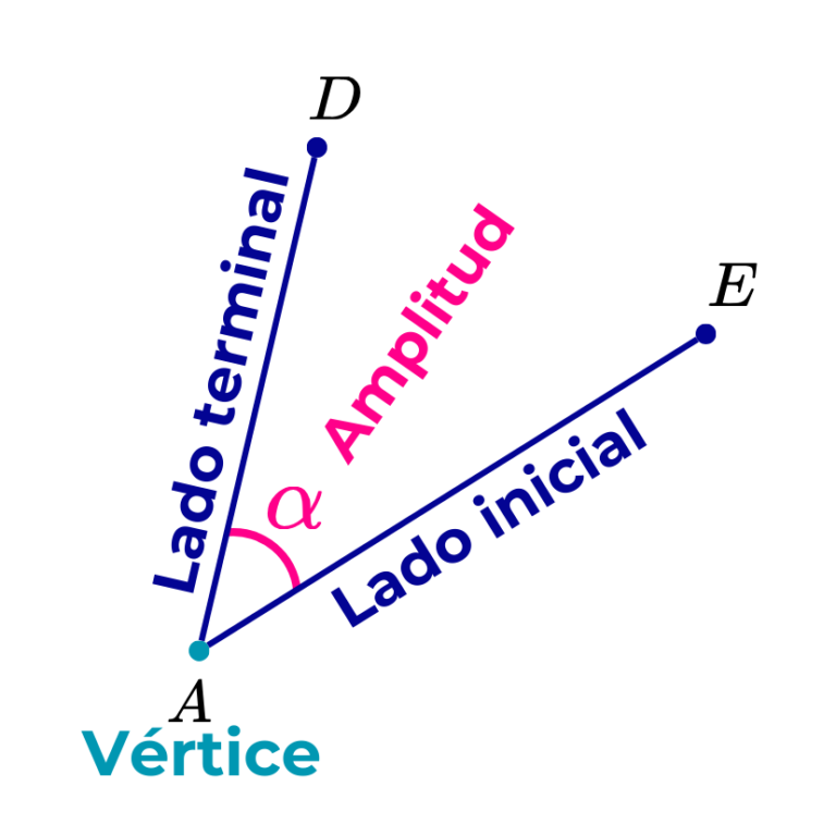 Ángulo agudo - ¿Qué es y cuánto mide?