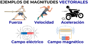 Magnitudes escalares y vectoriales