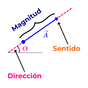 Magnitud de un vector en dos y tres dimensiones - Ejemplos