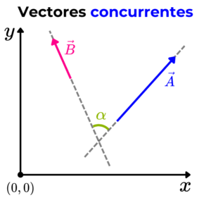 Tipos de vectores - Definición y características